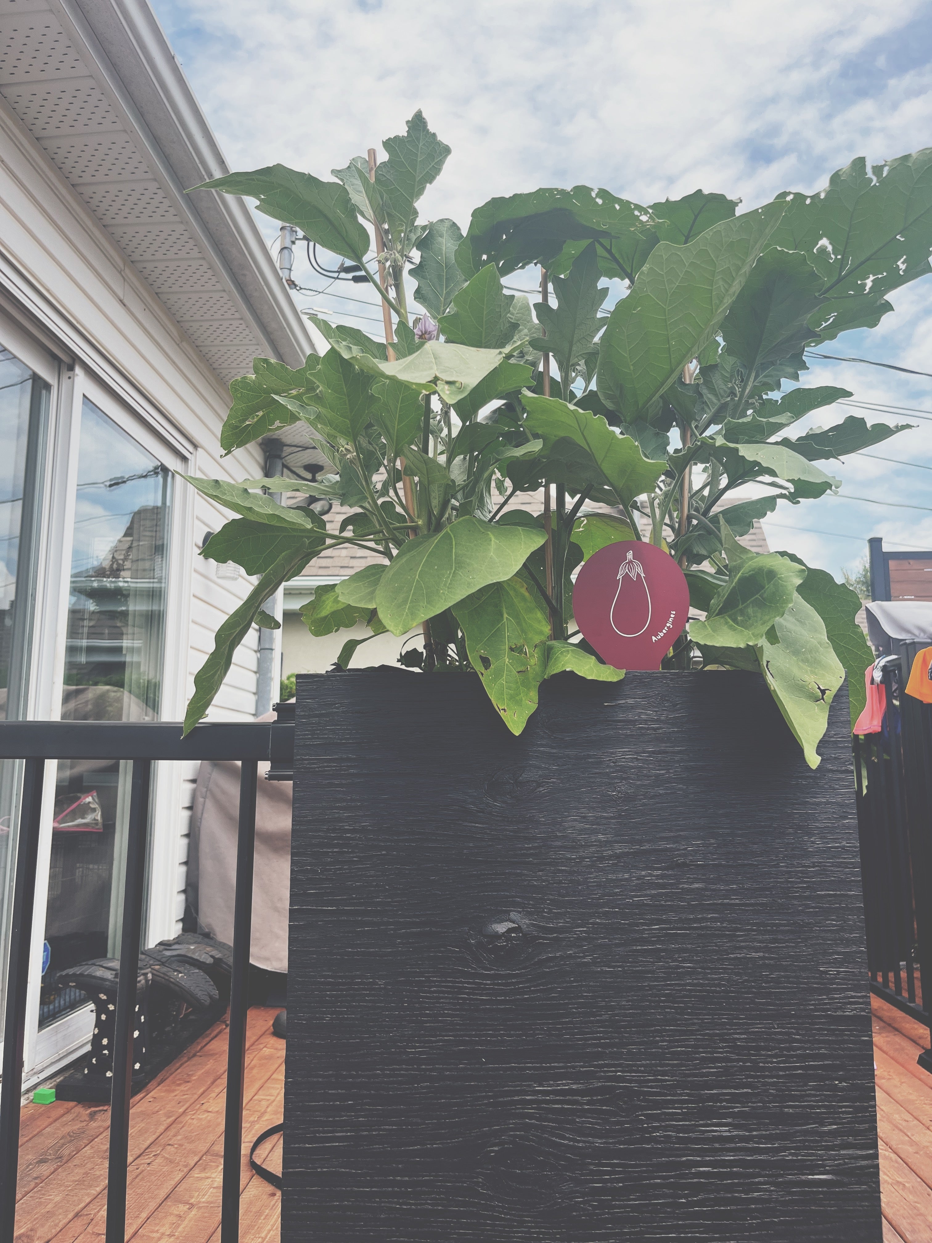 Marqueurs de potager fabriqués au Québec